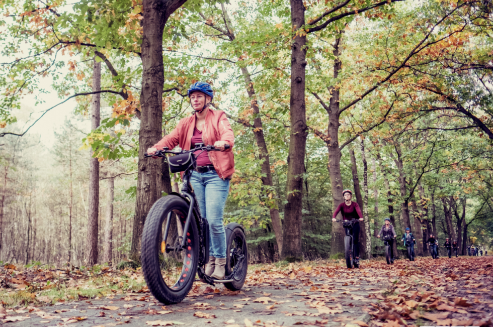 Fat max e-step - Expert in Actie